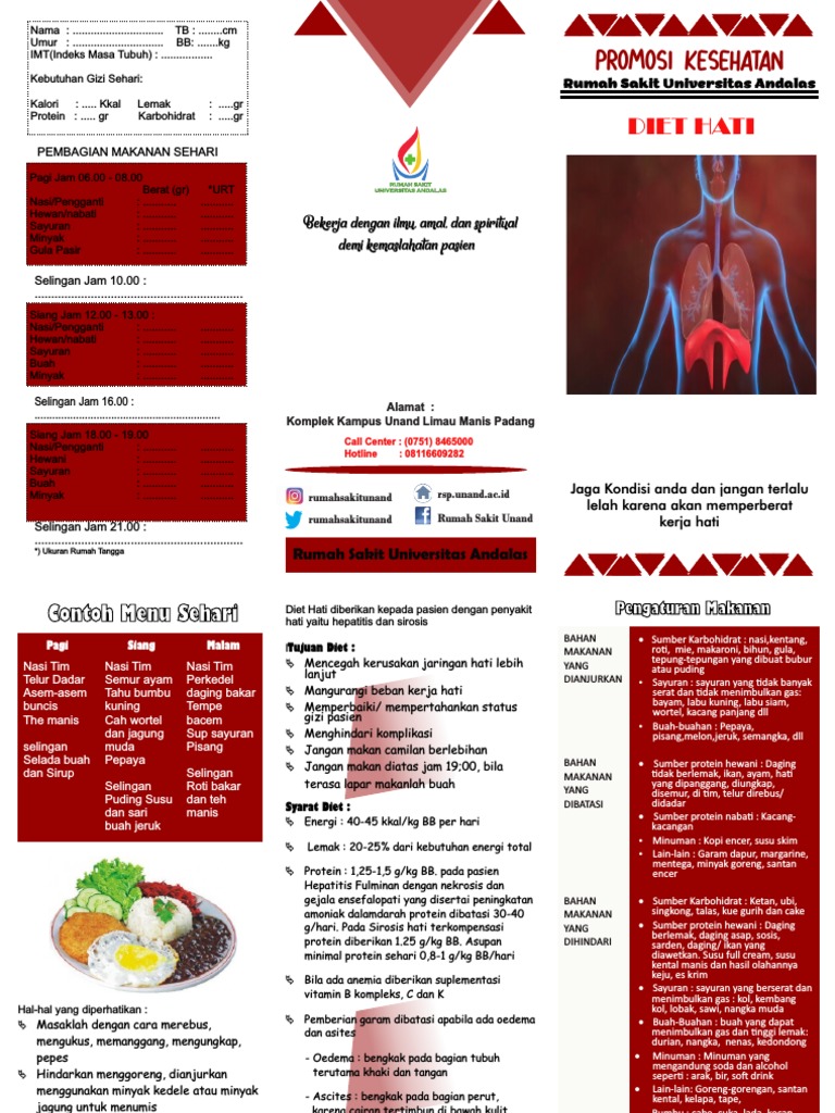 Leaflet Diet Hati | PDF