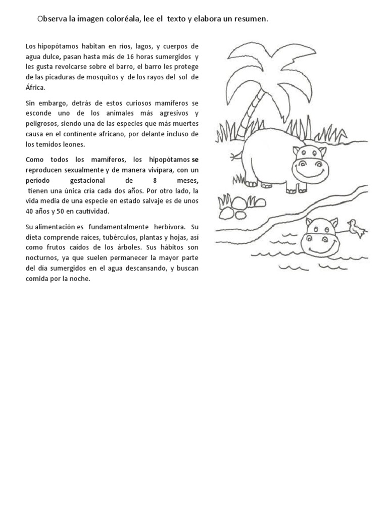 Infografía sobre hipopótamos para niños | PDF | Ciencia y matemáticas