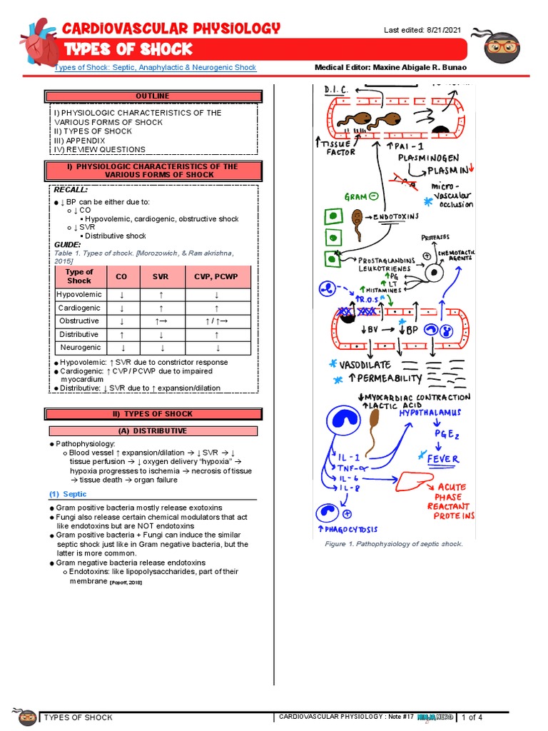 Types of Shock: Septic, Anaphylactic, Neurogenic | PDF | Shock ...