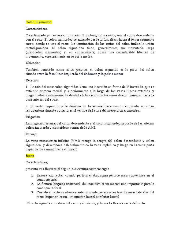 Colon Sigmoideo Recto y Ano | PDF | Órgano (anatomía) | Anatomía humana