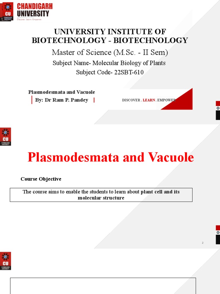Plasmodesmata and Vacuole | PDF | Vacuole | Cell (Biology)