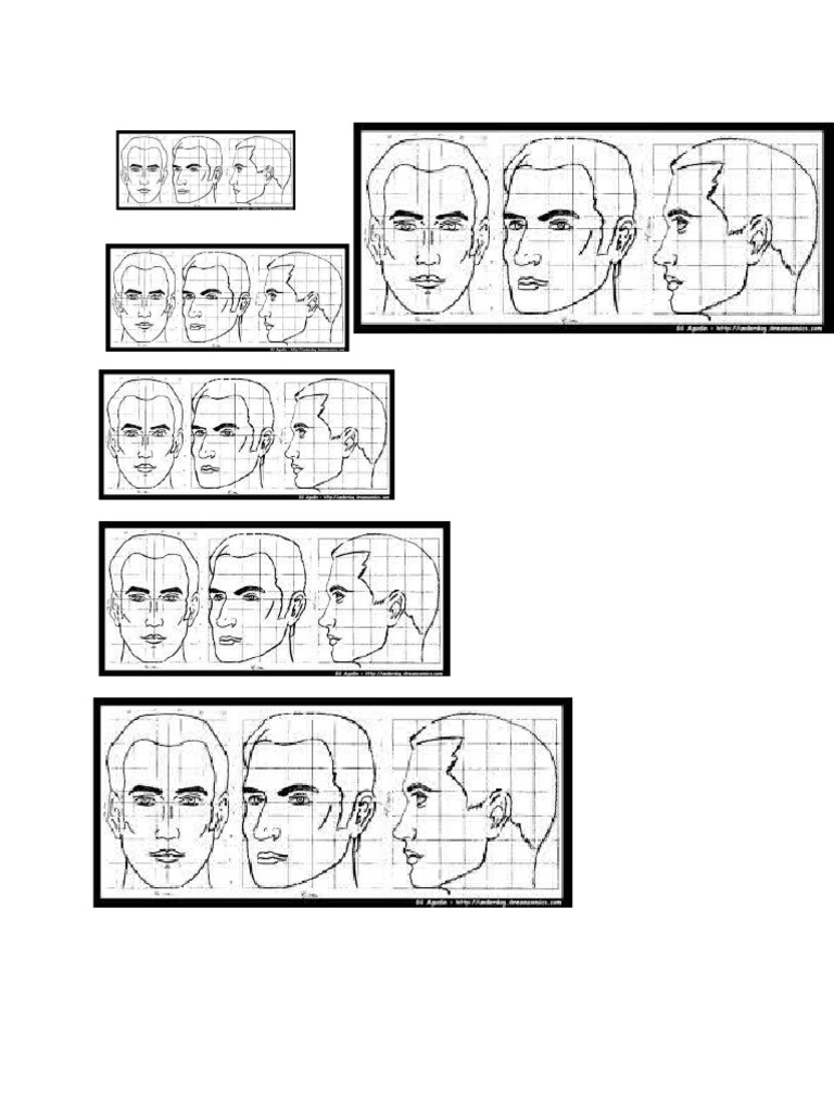 Proporciones Cabeza Pdf