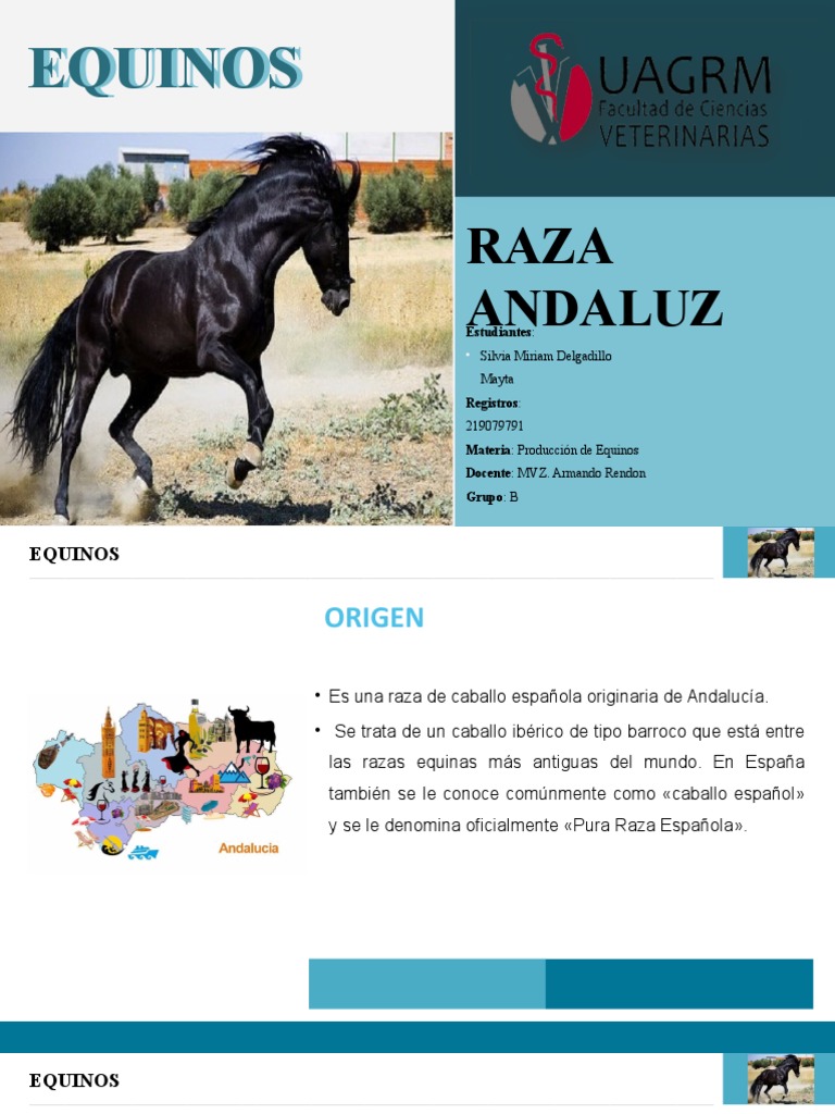 Raza Andalucia | PDF | Caballos | Équidos