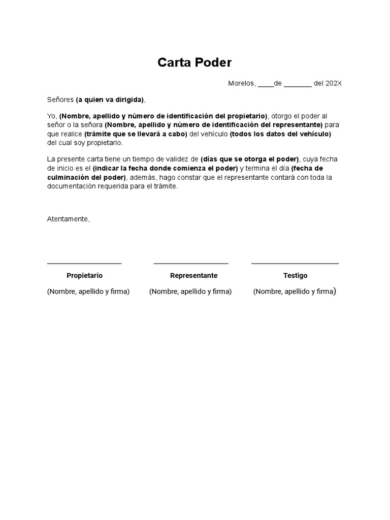 Carta Poder para Tramites Vehiculares en Morelos | PDF