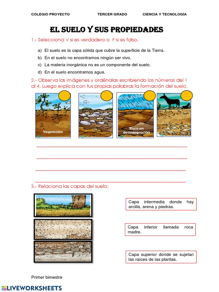 Capas y funciones del suelo terrestre | PDF | Suelo | Plantas