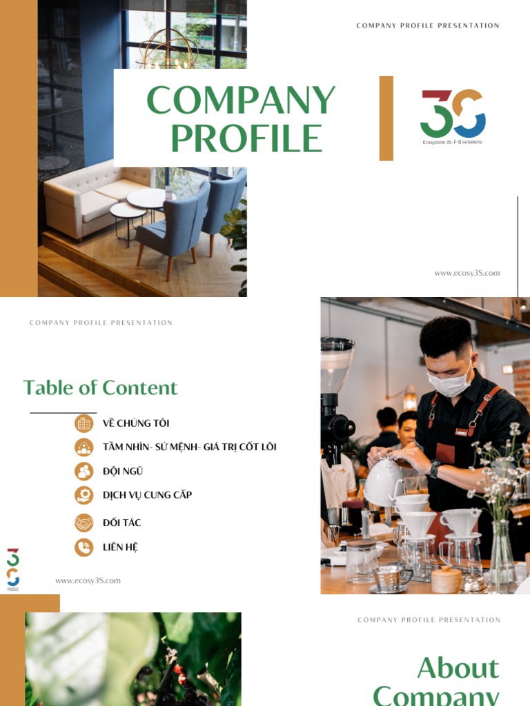 3S PROFILE | PDF