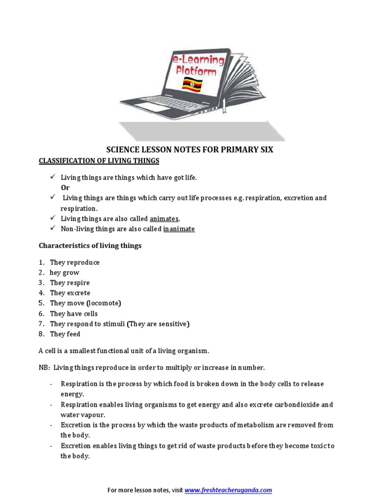 P.6 SCIE Lesson Notes | Download Free PDF | Amphibian | Snake