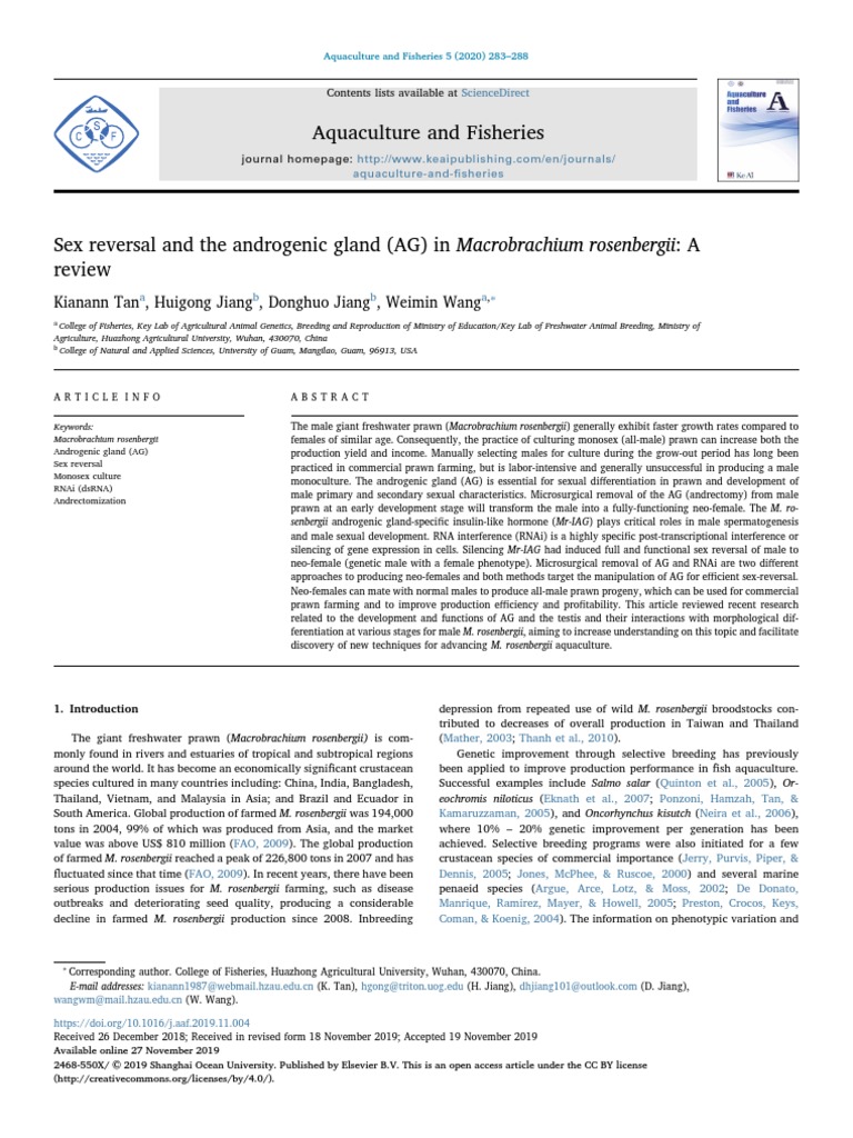 Sex Reversal And The Androgenic Gland In Giant Freshwater Prawn Pdf Small Interfering Rna Rna