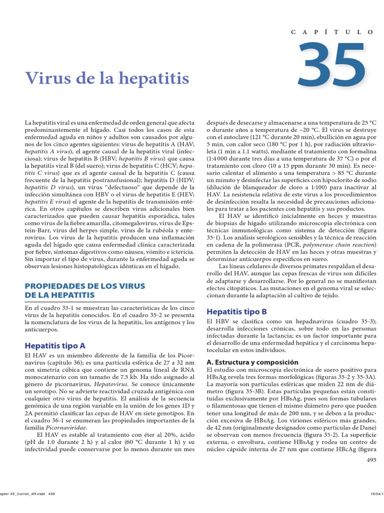 Virus de la Hepatitis: Tipos y Características | PDF | Hepatitis ...
