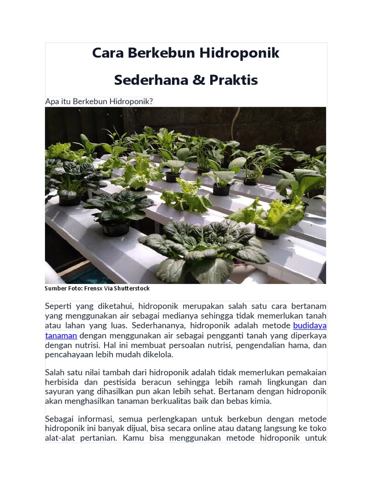 Cara Berkebun Hidroponik | PDF