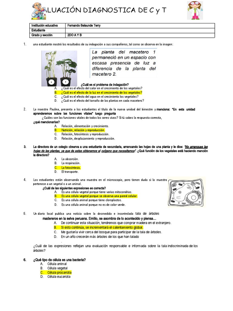 Evaluacion Diagnostica de Cyt 2do | PDF | Plantas | Biología Celular)