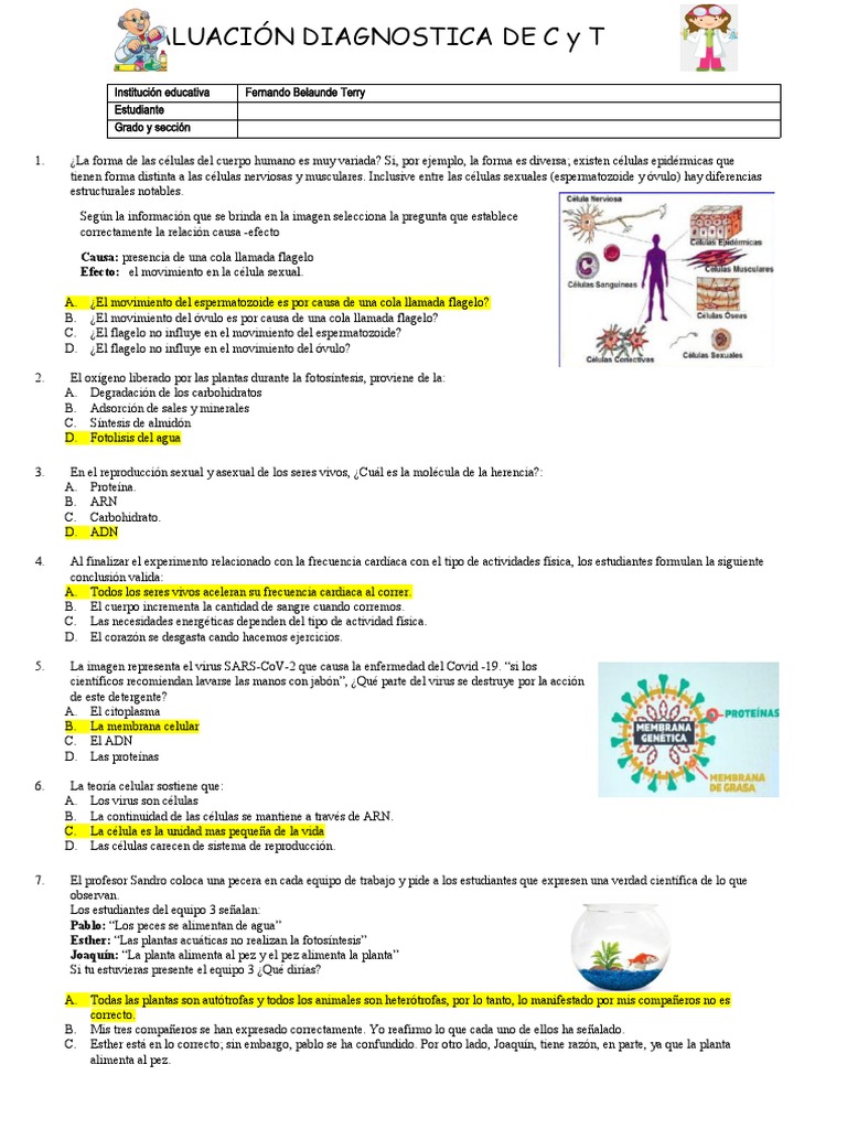 Evaluacion Diagnostica de Cyt 4to | PDF | Plantas | Biología Celular)