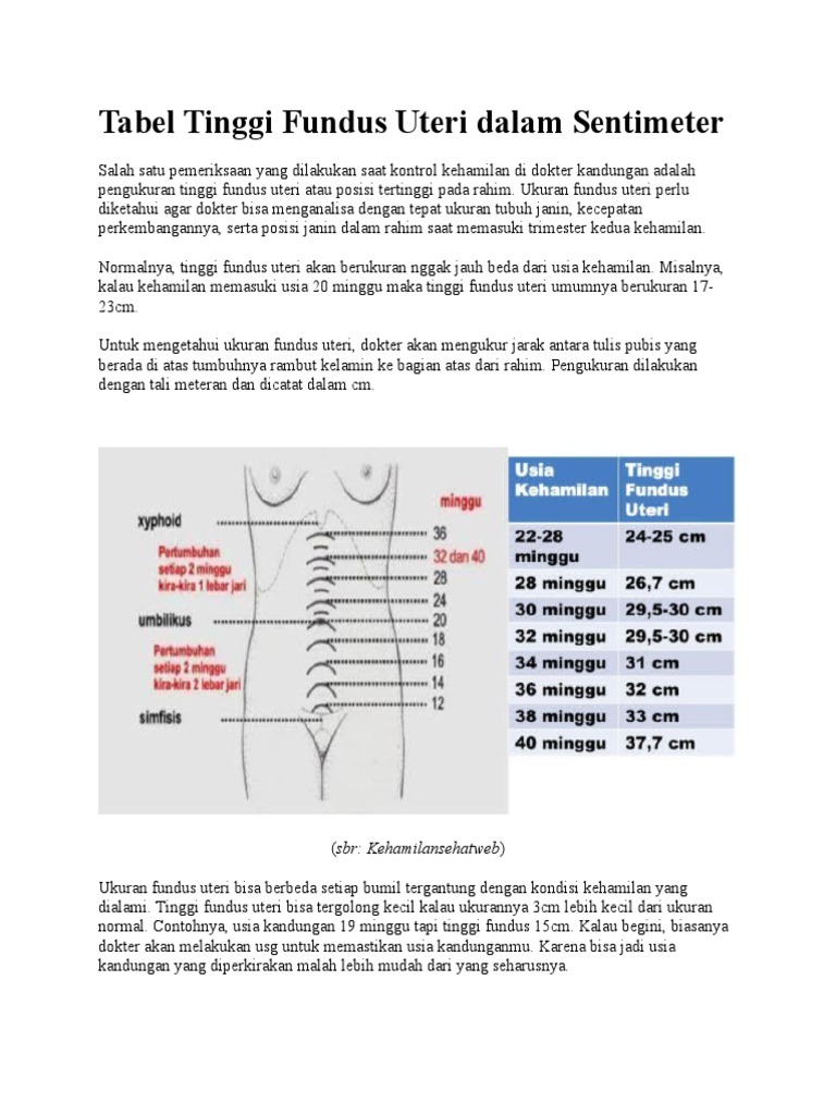Panduan Tinggi Fundus Uteri | PDF | Kesehatan Holistik