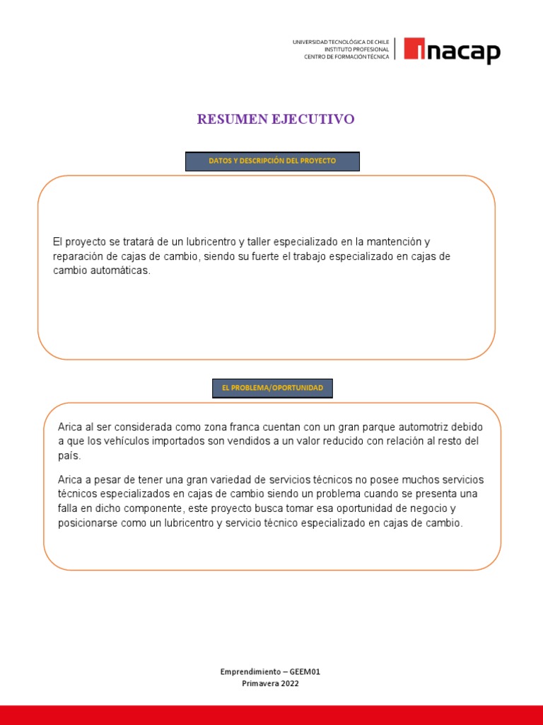 Formato Resumen Ejecutivo | PDF | Iniciativa empresarial | Marketing