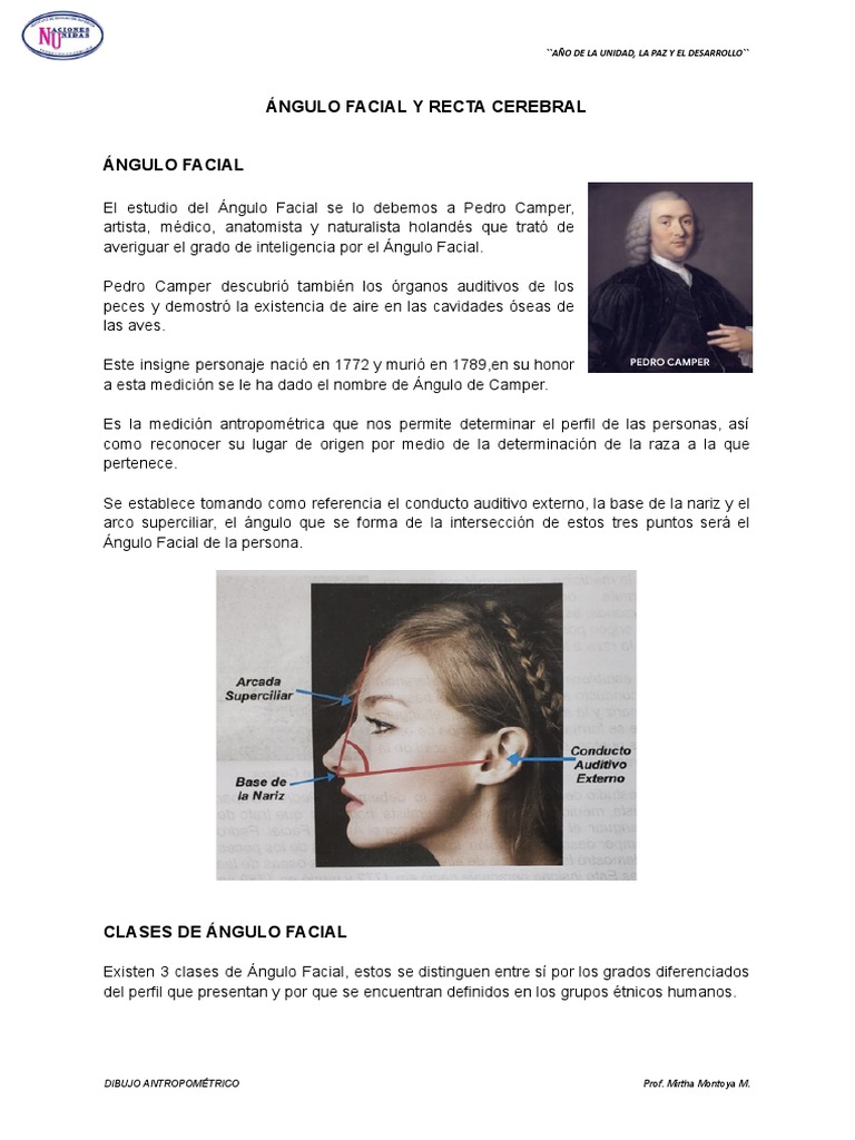 Separata 8 Dibujo | PDF