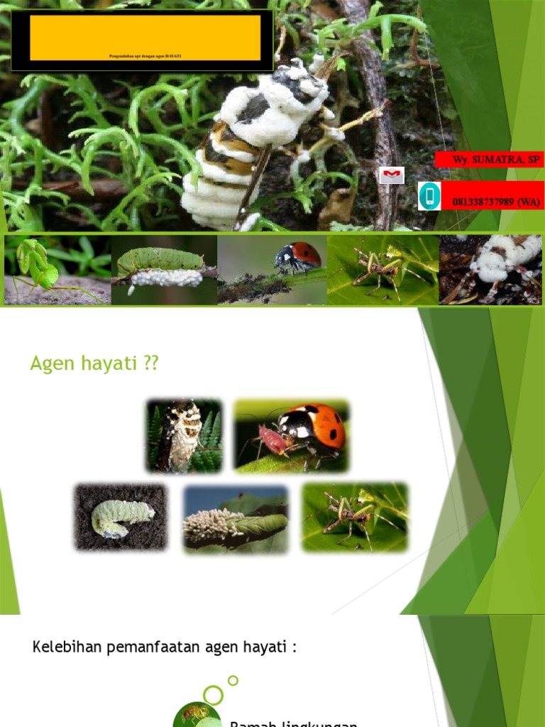 Pengendalian Hayati dengan Agen Hayati | PDF