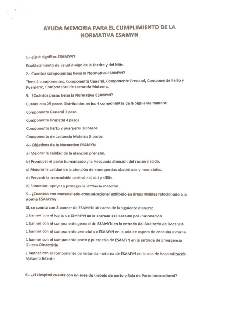 Ayuda Memoria Esamyn | PDF