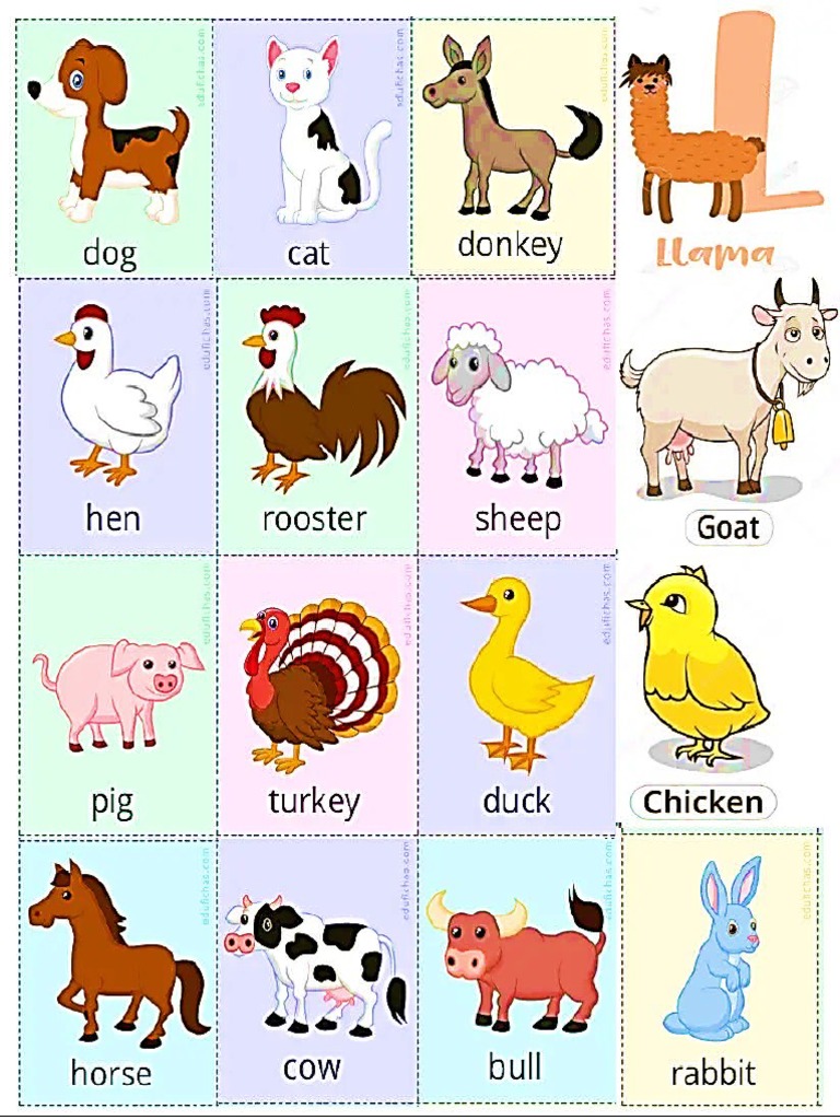 Animales en Ingles | PDF