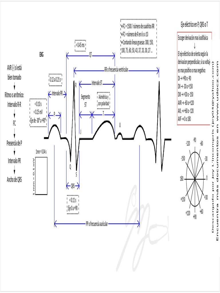 EKG Con Patologias | PDF | Electrocardiografia | Sistema circulatorio