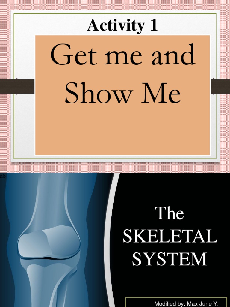Grade 8 Skeletal System Enhanced Sci Download Free Pdf Bone Skeleton