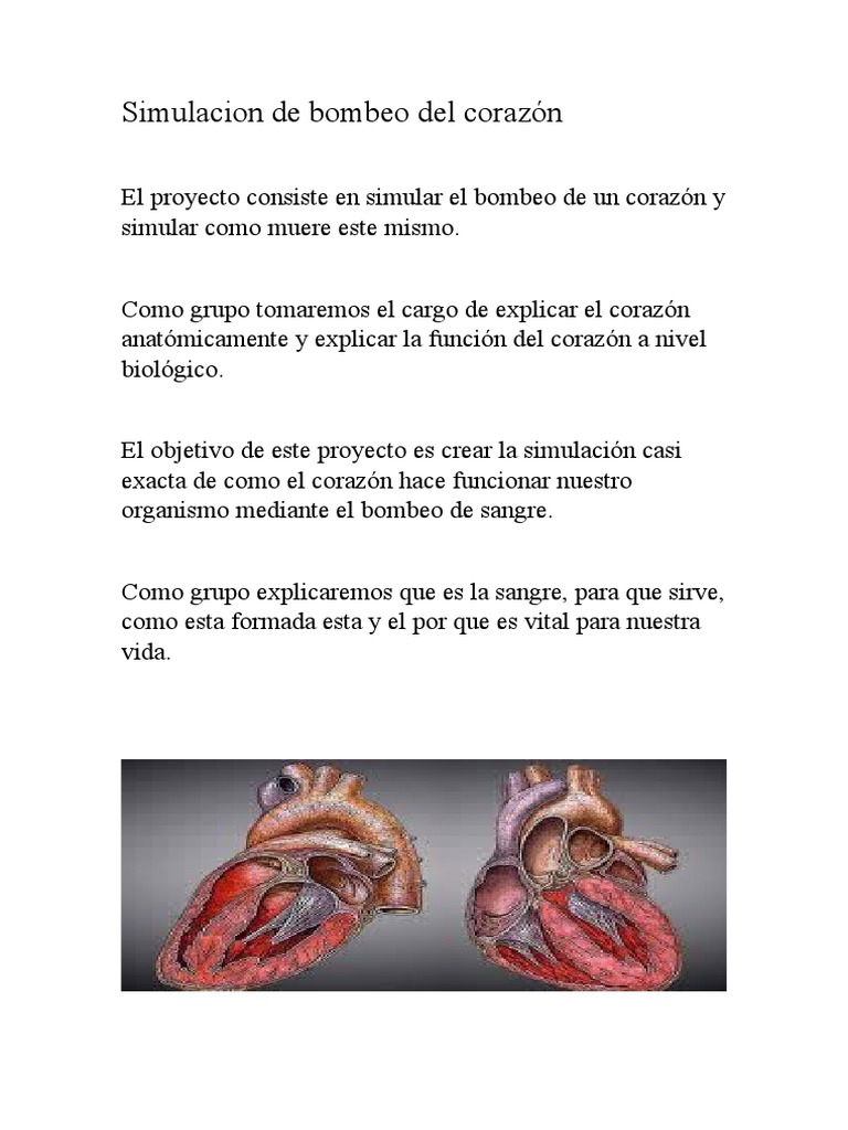 Simulacion de Bombeo Del Corazón | PDF | Filosofía