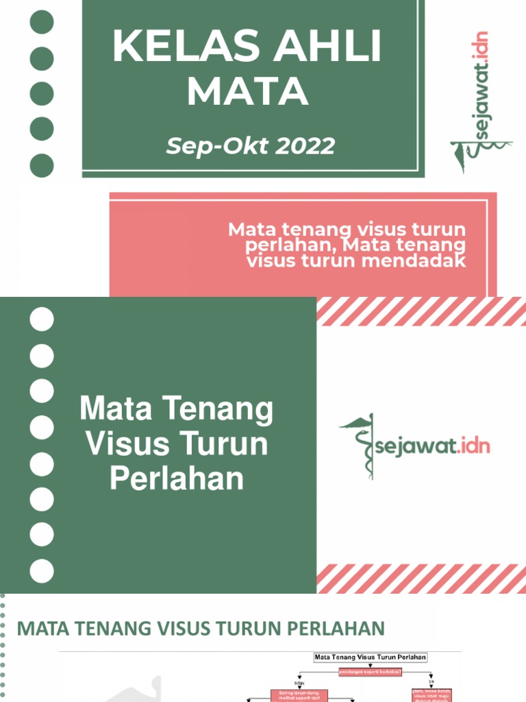 Penurunan Visus dan Astigmatisme | PDF