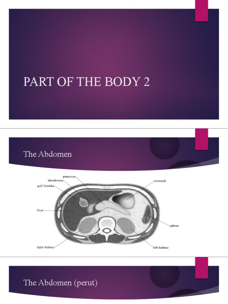 Part of The Body 2 | PDF