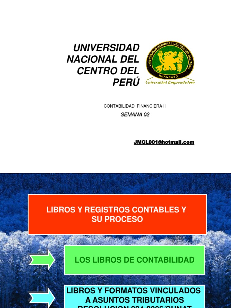 111 Libros y Registros Contables (2020) | PDF | Contabilidad ...