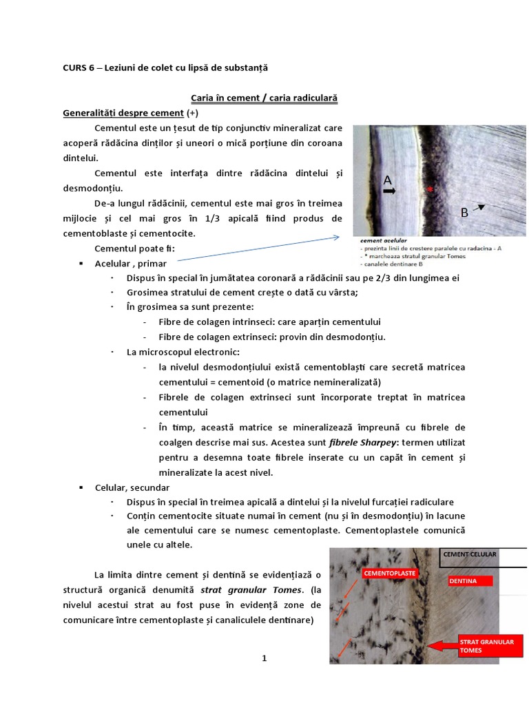 Leziuni de colet cu lipsa de substanta | PDF