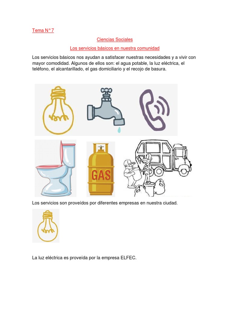 Servicios Basicos de La Comunidad | PDF