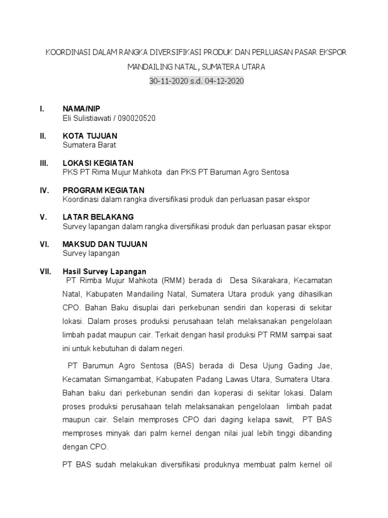 Lap SPPD Rapat Koordinasi Survey PT BAS Dan PT RMM | PDF