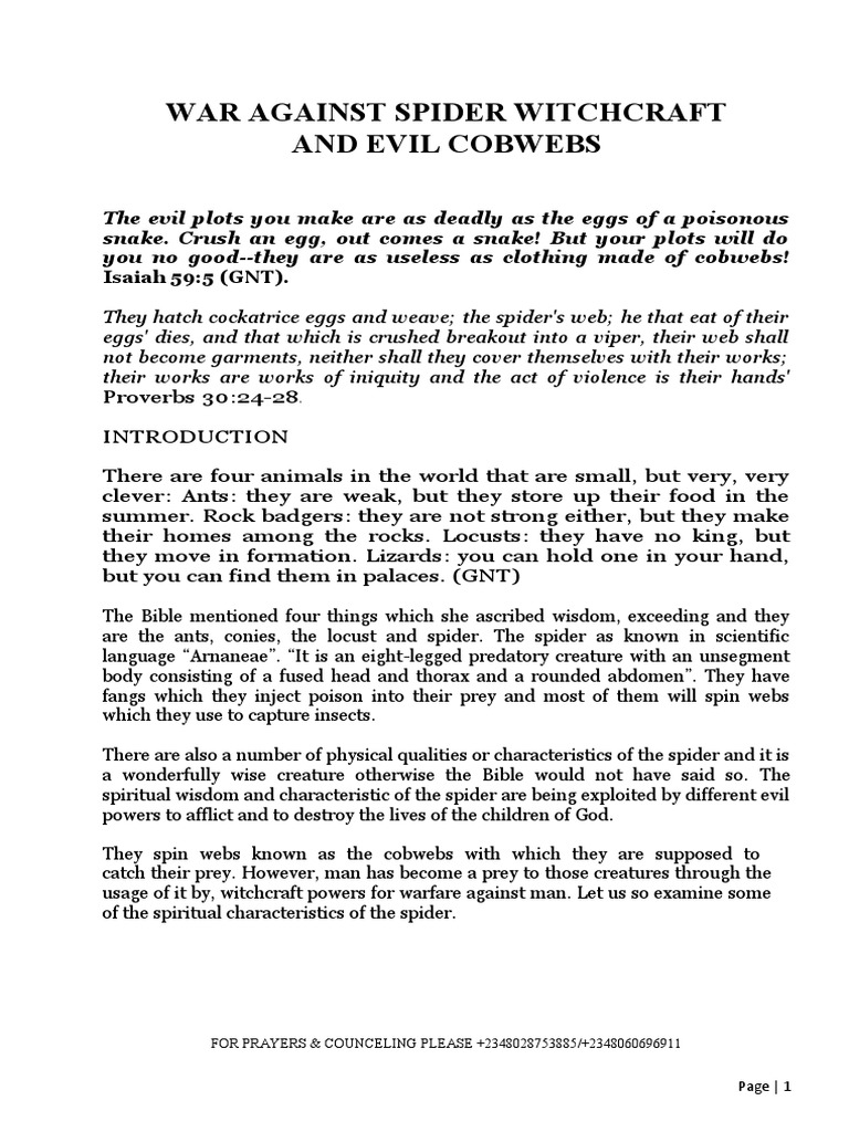 War Against Witchcraft Spider and Evil Cobwebs | PDF | Spider Web | Spider