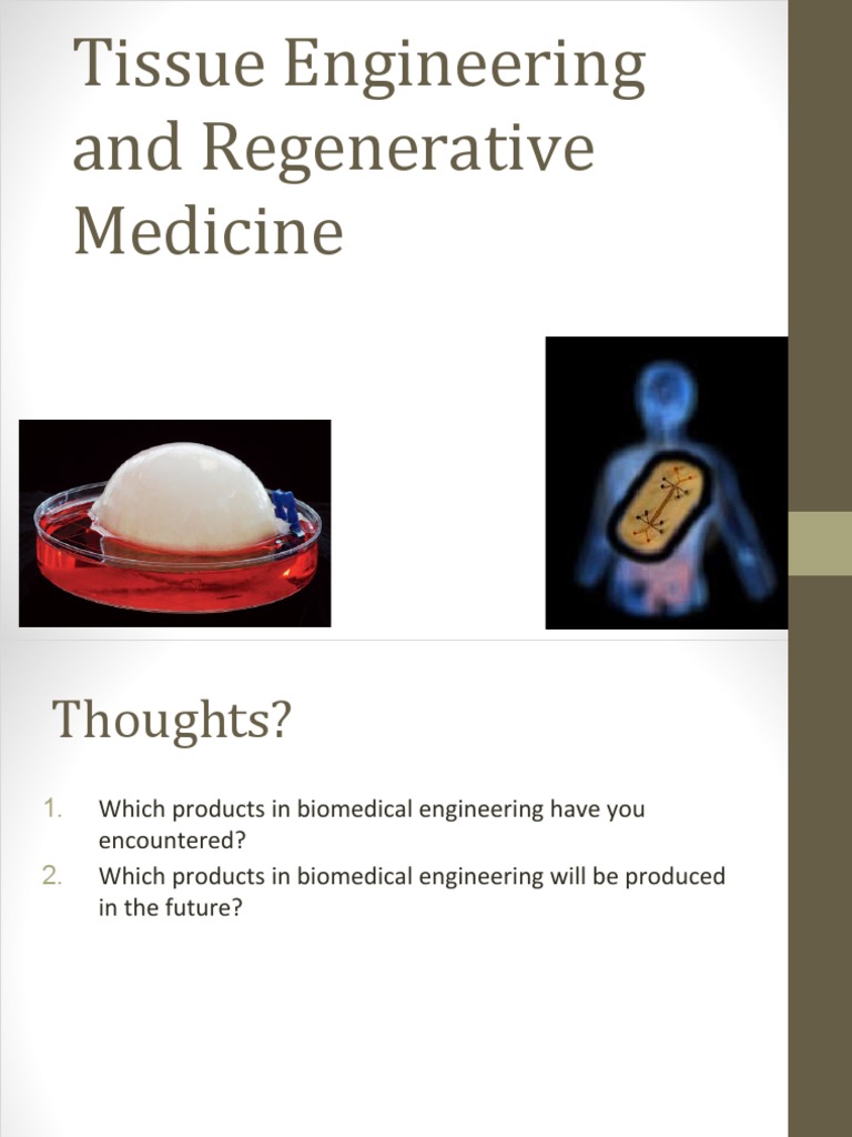 Tissue Engineering | PDF | Self-Improvement