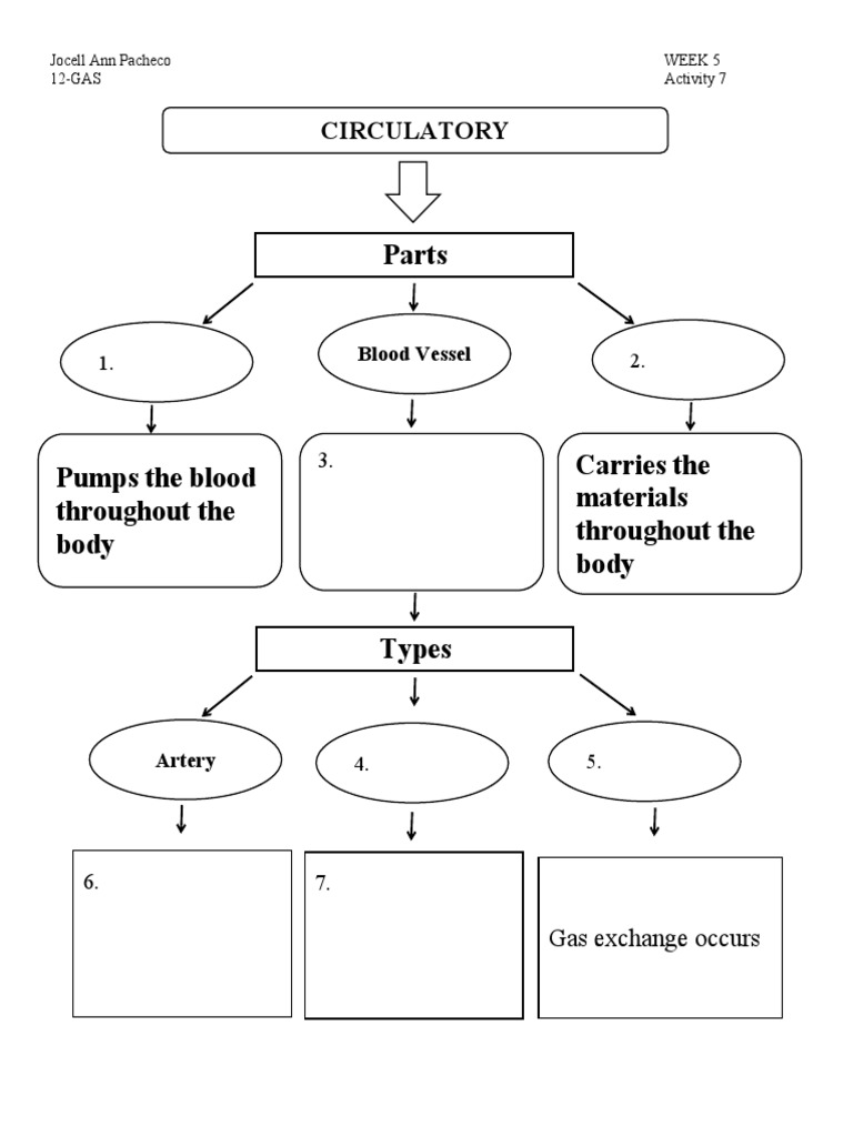 Circulatory System Table | PDF