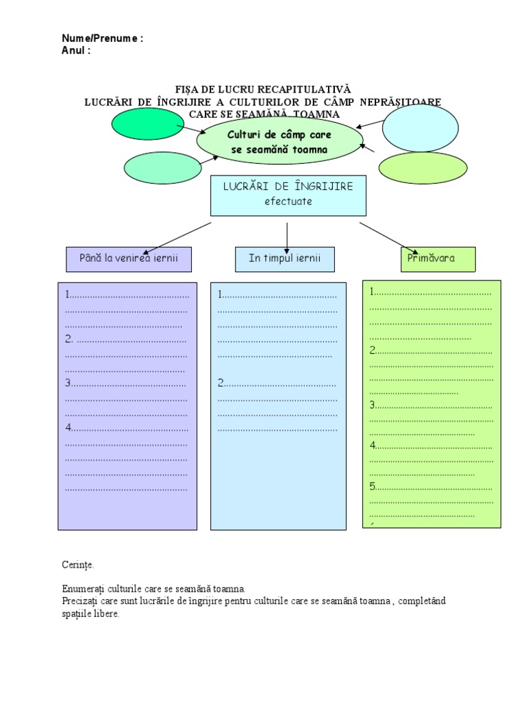 Fisa de Lucru-Lucrari de Ingrijire La Plante | PDF