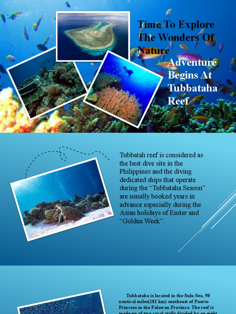 Tubbataha Reef: Location and Diving Season | PDF | Social Science ...