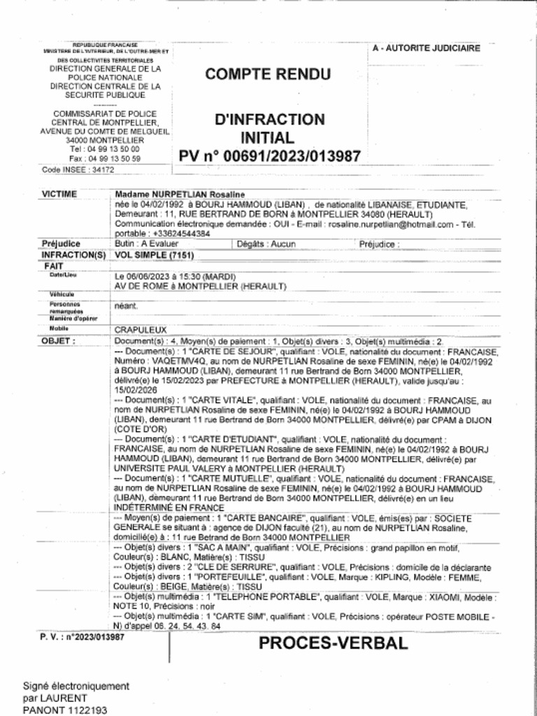 Declaration de Vol | PDF