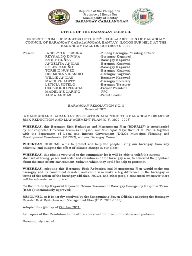 Barangay Disaster Risk Reduction and Management Plan | PDF | Emergency ...