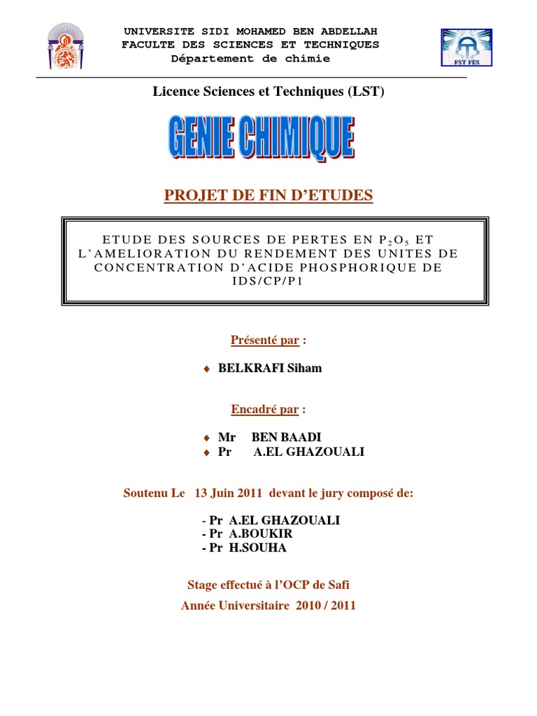 Projet de Fin D Etudes | PDF