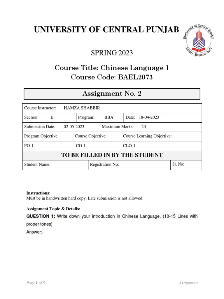 Chinese Language Assignment | PDF