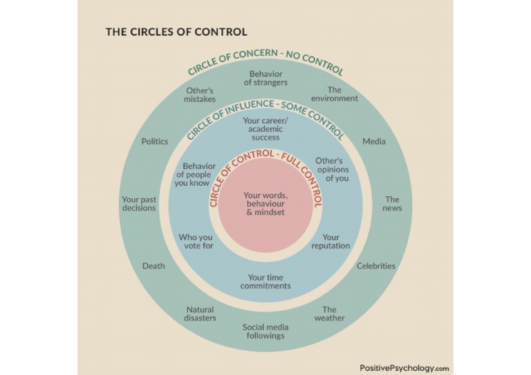 Cercul Controlului | PDF