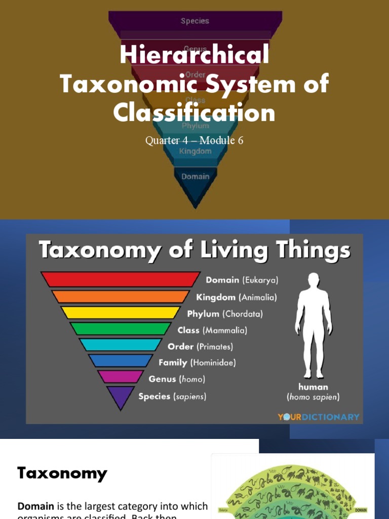 Sci 8 4TH Quarter Module 6 | PDF | Invertebrate | Taxonomy (Biology)