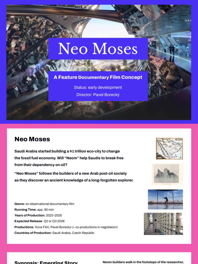 Neo Moses - Executive Summary | PDF | Saudi Arabia