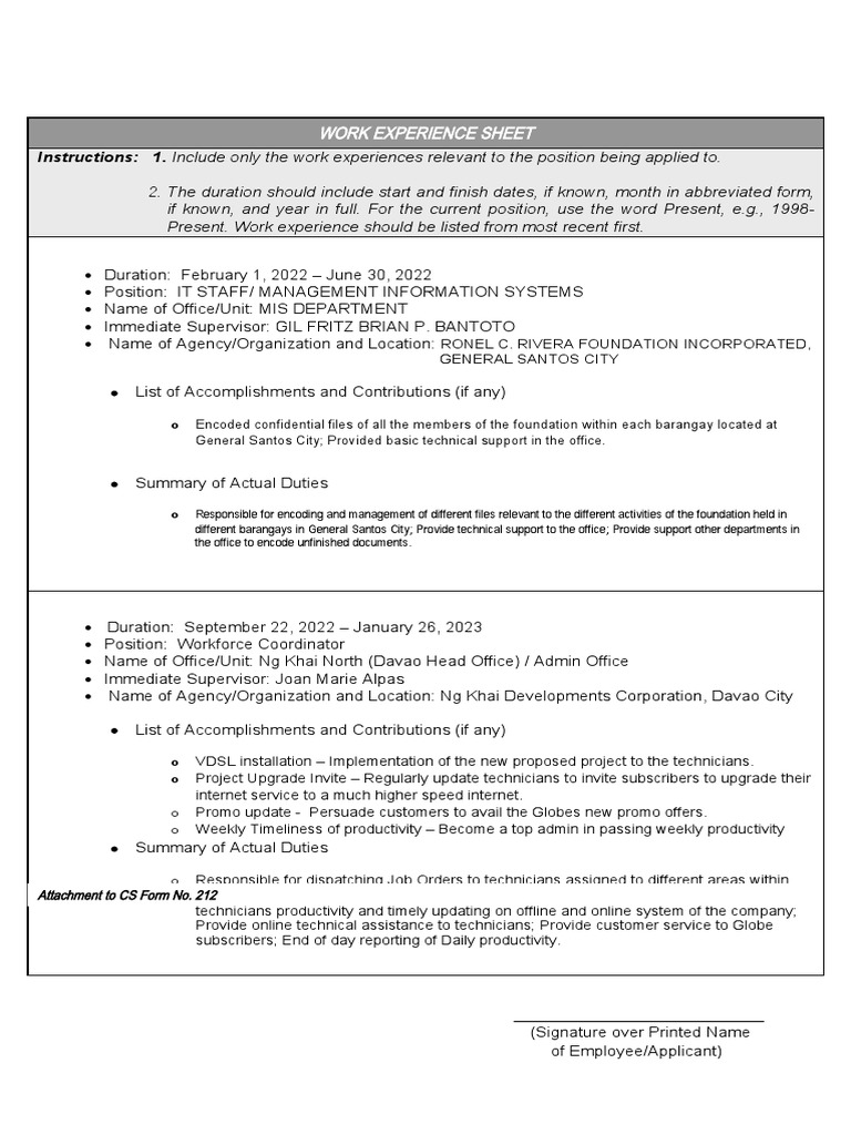 Cs Form No 212 Work Experience Sheet Pdf Technical Support Information Technology