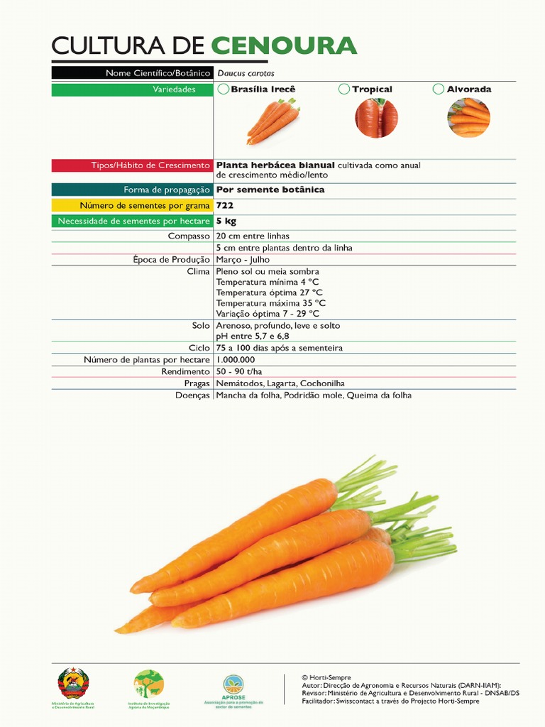 Variedades de Cenoura - HortSempre - Mocambique | PDF