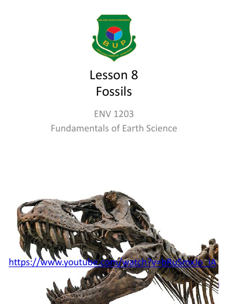 ENV 1203 Lesson 8 | PDF | Fossil | Sedimentary Rock
