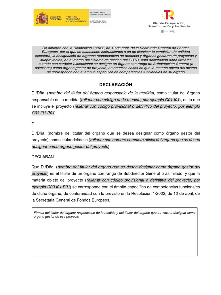 Modelo Declaracion Responsable Proyecto Rango Inferior DG | PDF