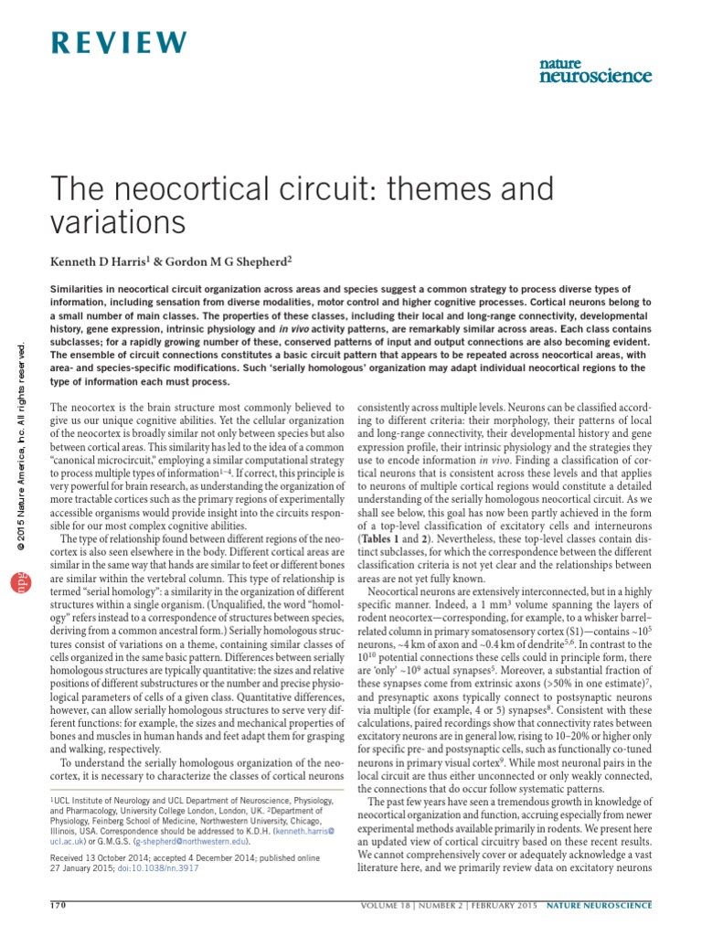 Cortical Circuit Harris Themes Variation nn.3917 | PDF | Cerebral ...
