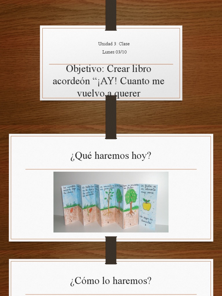 Creacion Libro Acordeon | PDF