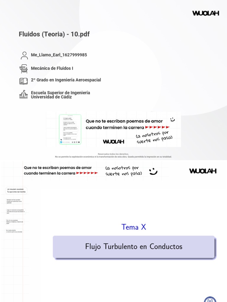 Flujo Turbulento en Conductos | PDF | Turbulencia | Flujo laminar